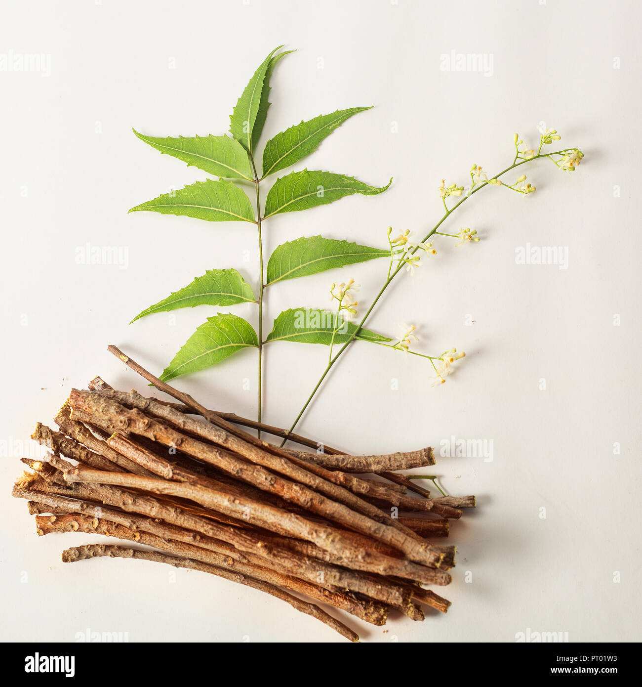 Neem leaves hi-res stock photography and images - Alamy