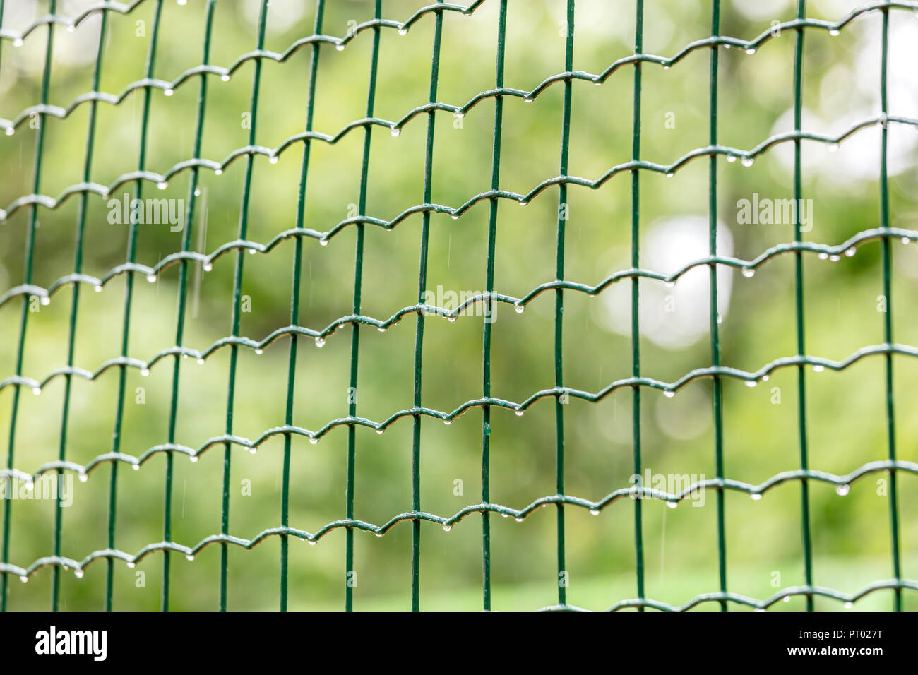 metal square grid with water drops during rain. blurred green trees ...