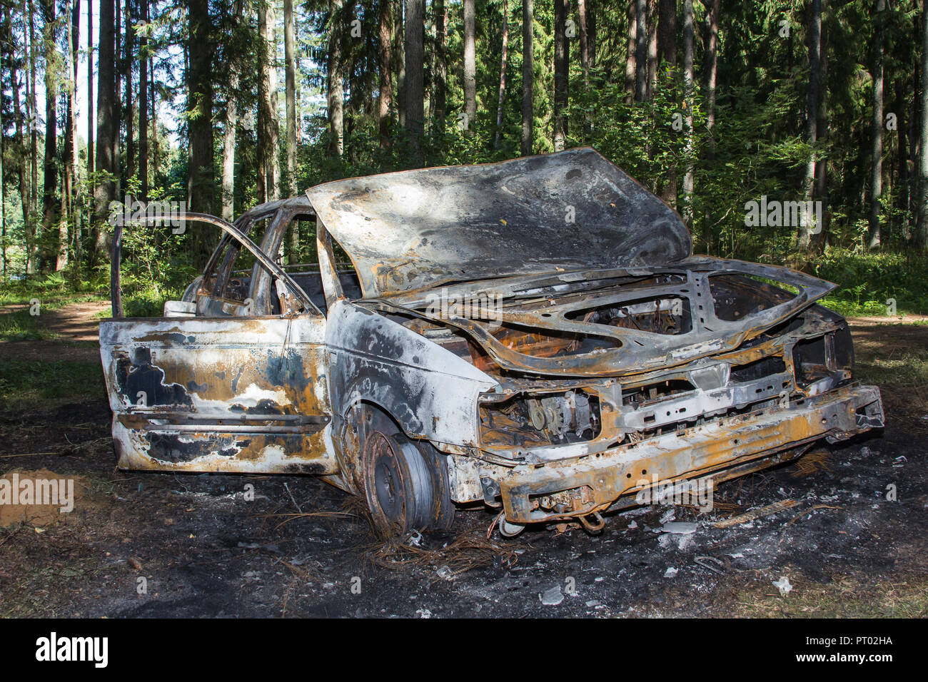 Fully burned car in the forest in summer, accident background Stock ...