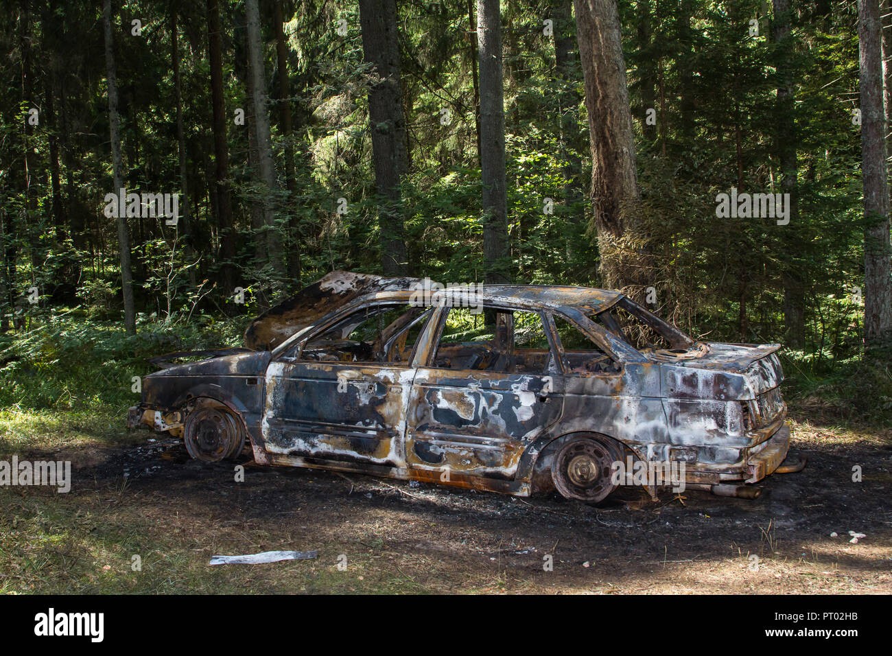 Fully burned car in the forest in summer, accident background Stock ...