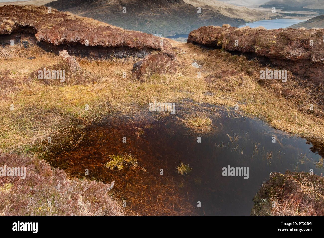 Ireland, Galway, Letterfrack, Connemara National Park, 3 October 2018 ...