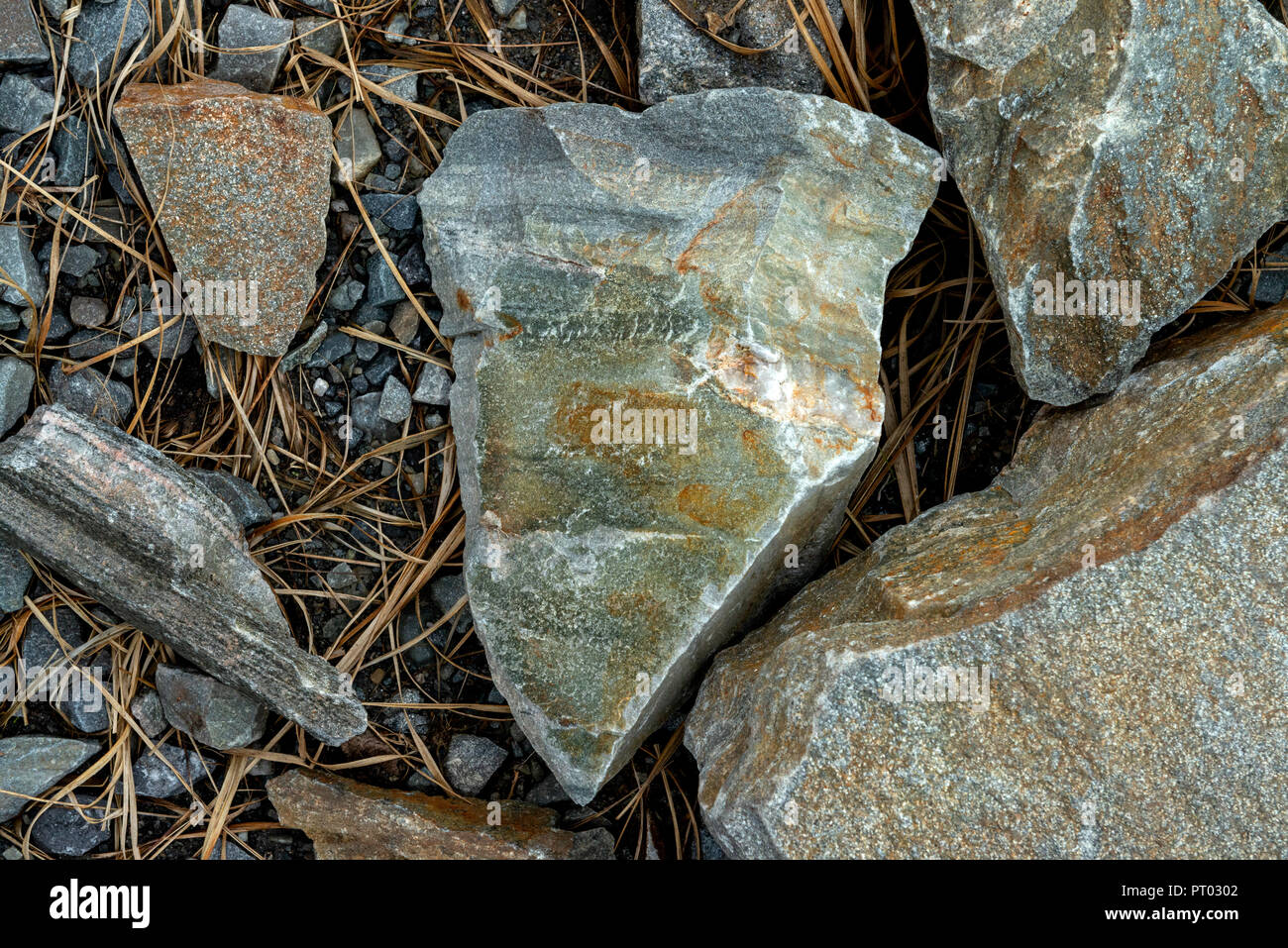 Ireland, Galway, Letterfrack, Connemara National Park, 3 October 2018 ...