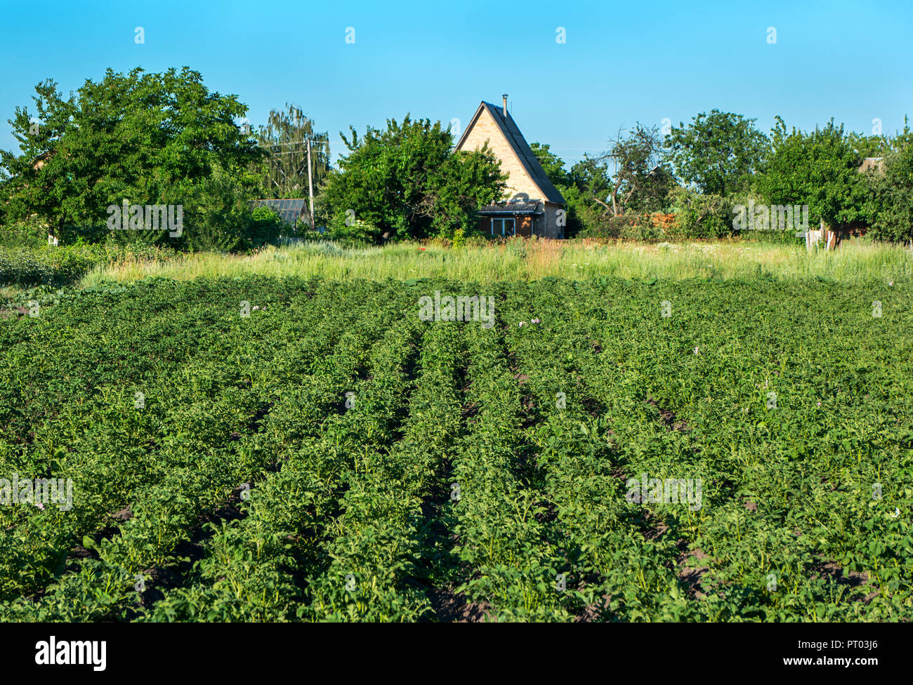 Potato house hi-res stock photography and images - Alamy