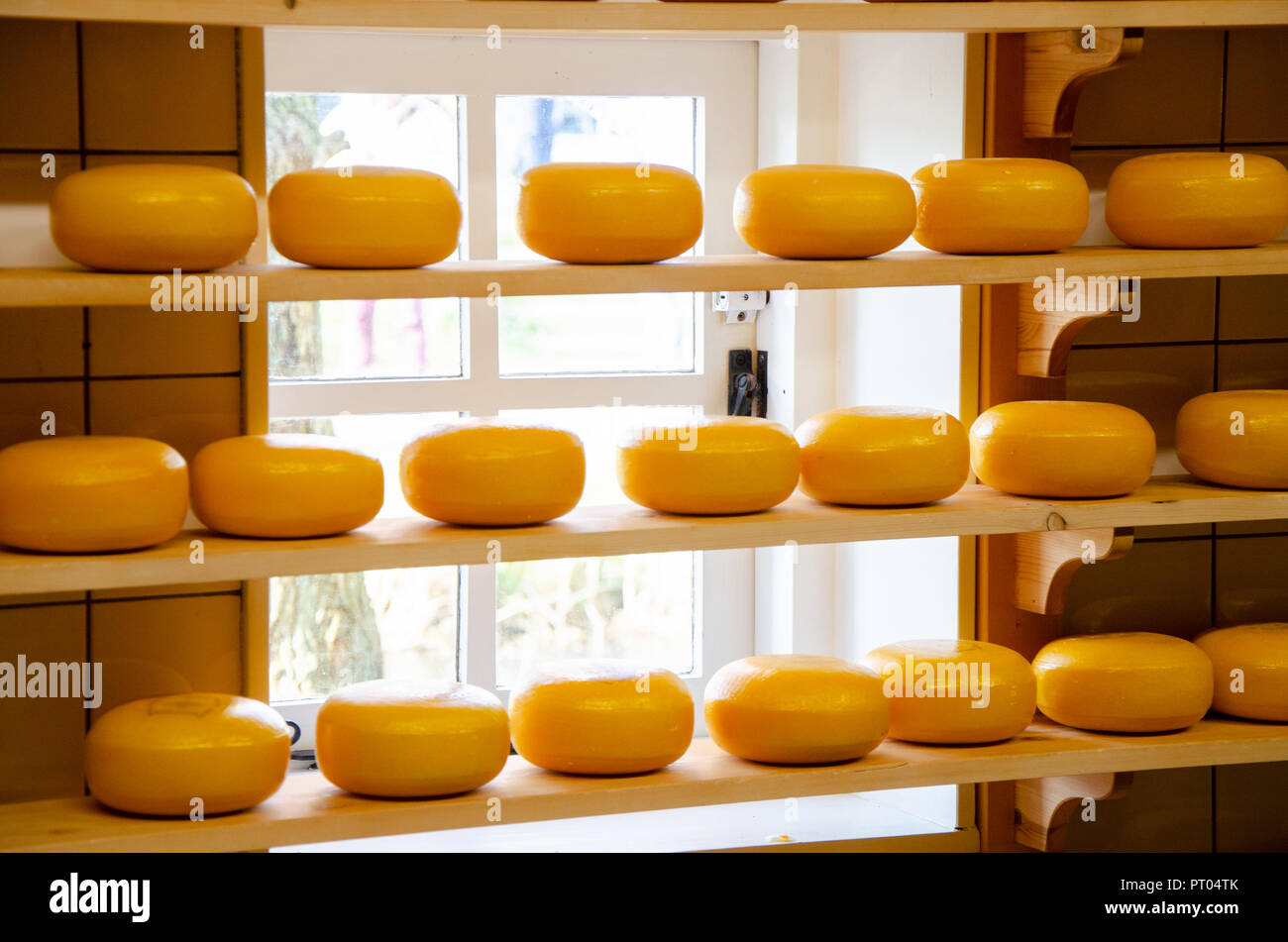 Production of classic Dutch cheese in Zachse Schans Stock Photo - Alamy