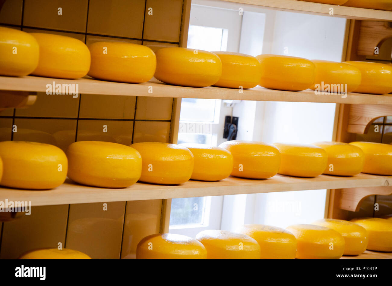 Production of classic Dutch cheese in Zachse Schans Stock Photo - Alamy
