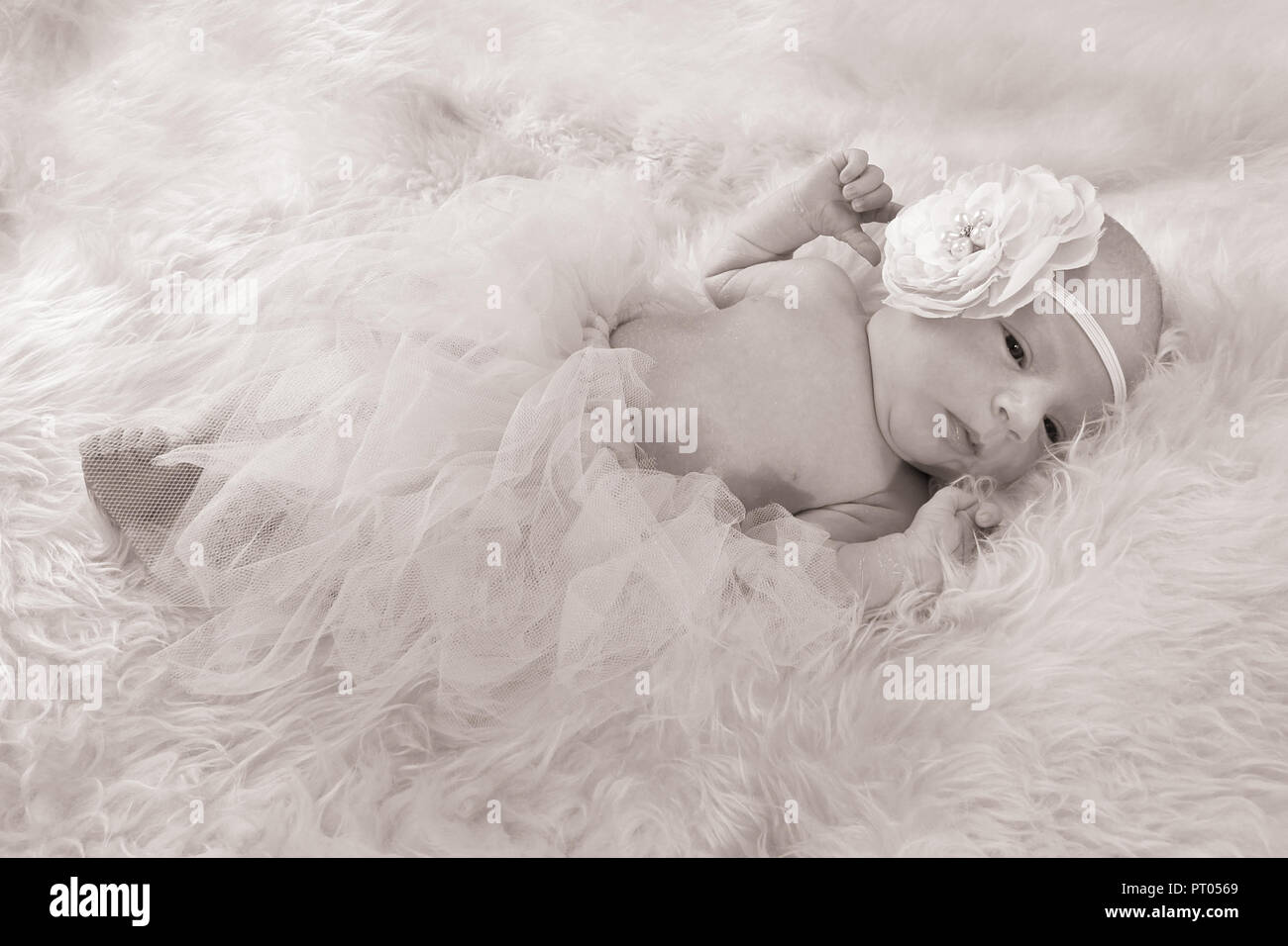 new born baby girl Stock Photo - Alamy