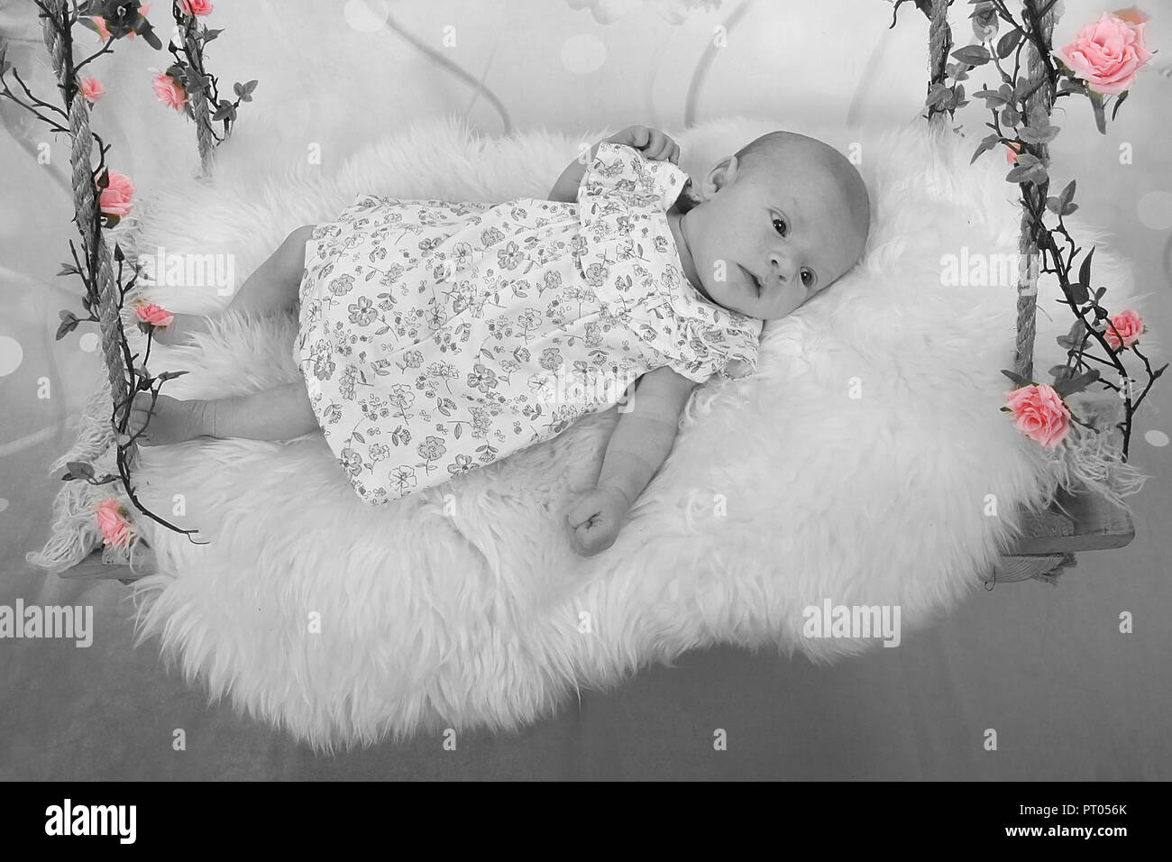 new born baby girl Stock Photo - Alamy