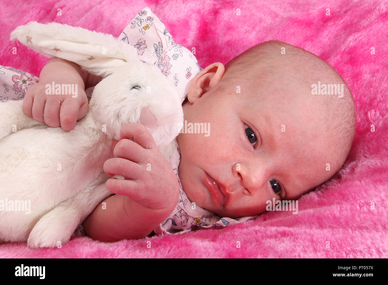 new born baby girl Stock Photo - Alamy