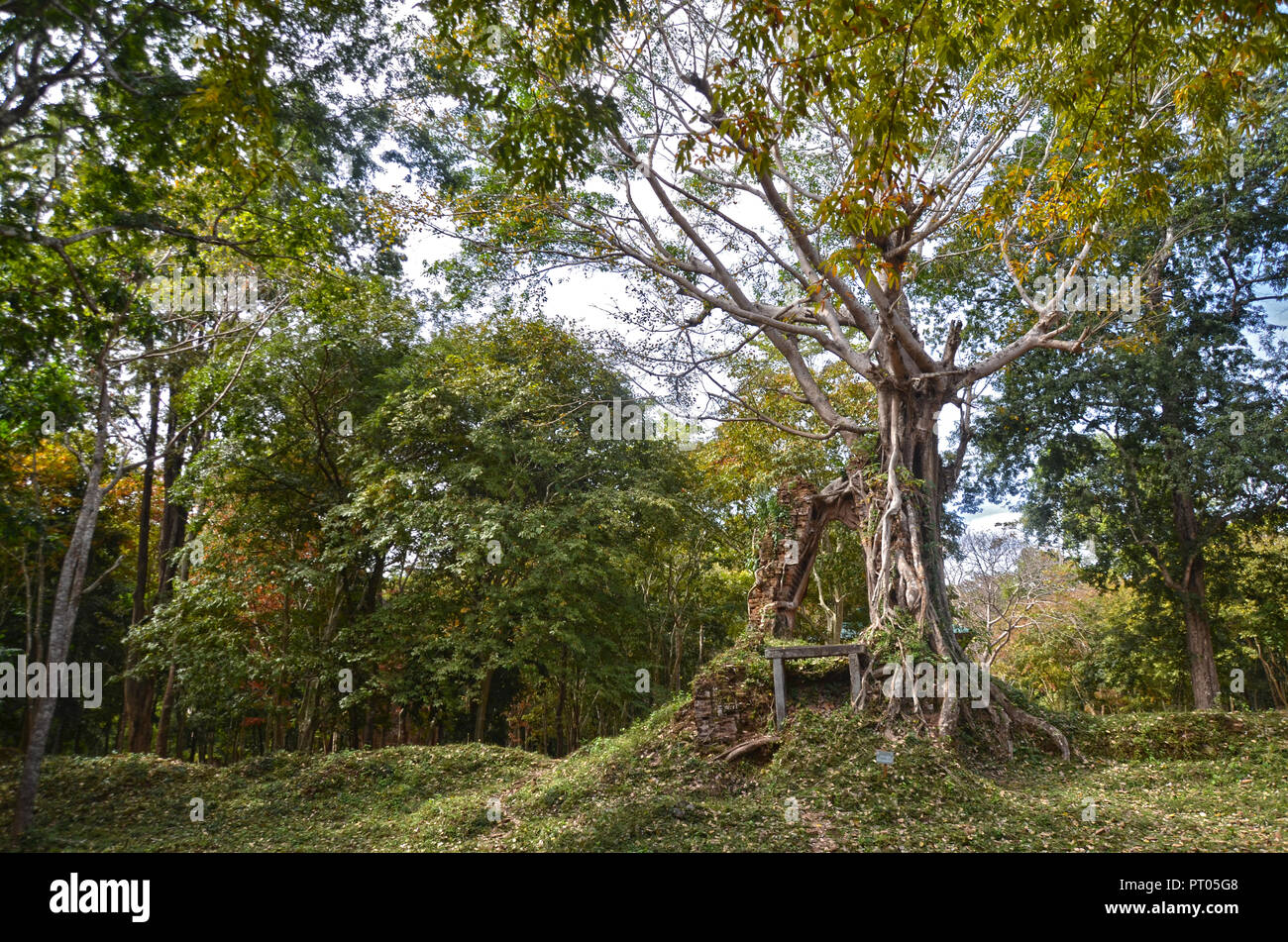 Sambor Prei Kuk - Cambodia Stock Photo - Alamy