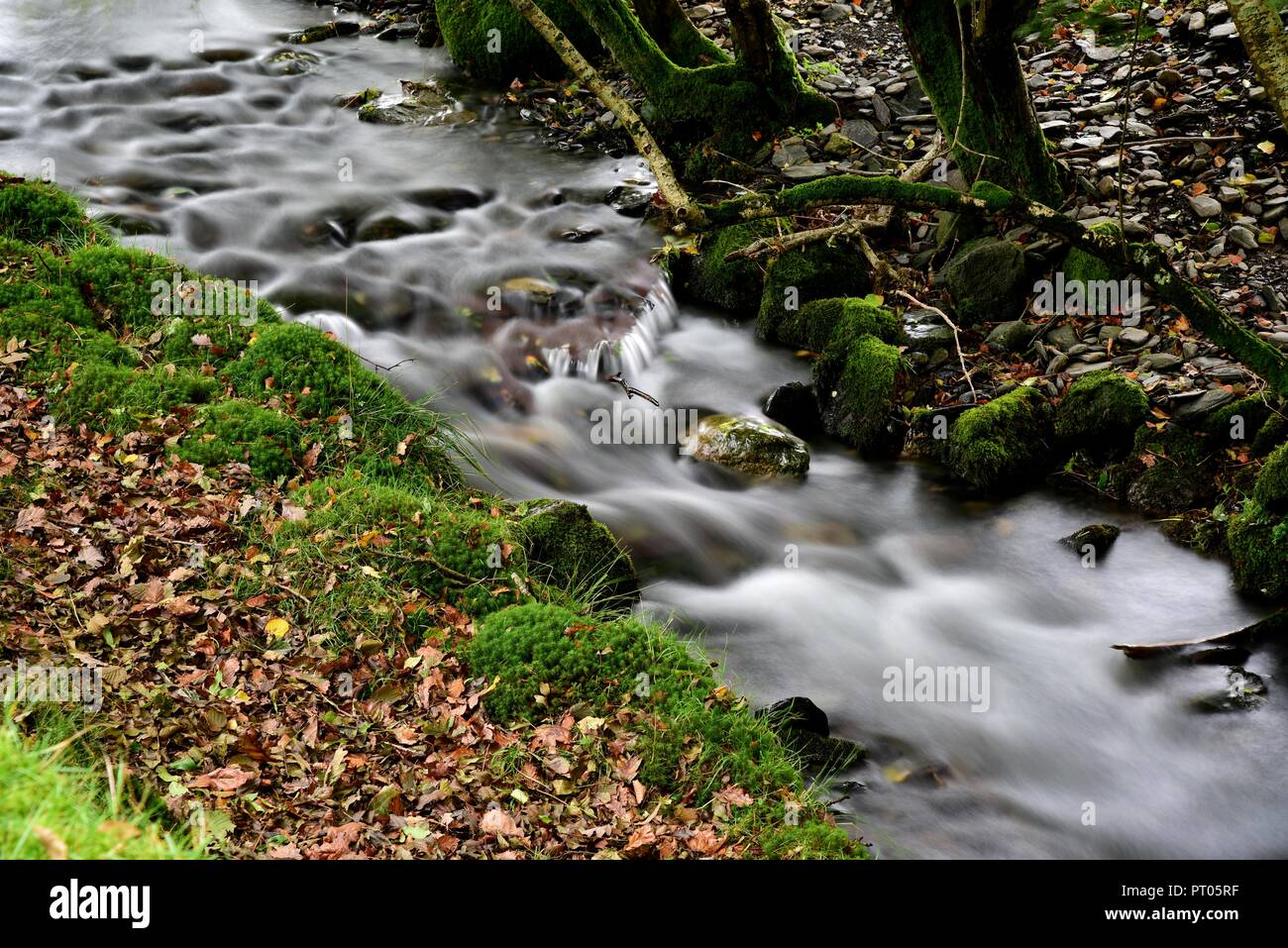 Slow trickle of water hi-res stock photography and images - Alamy