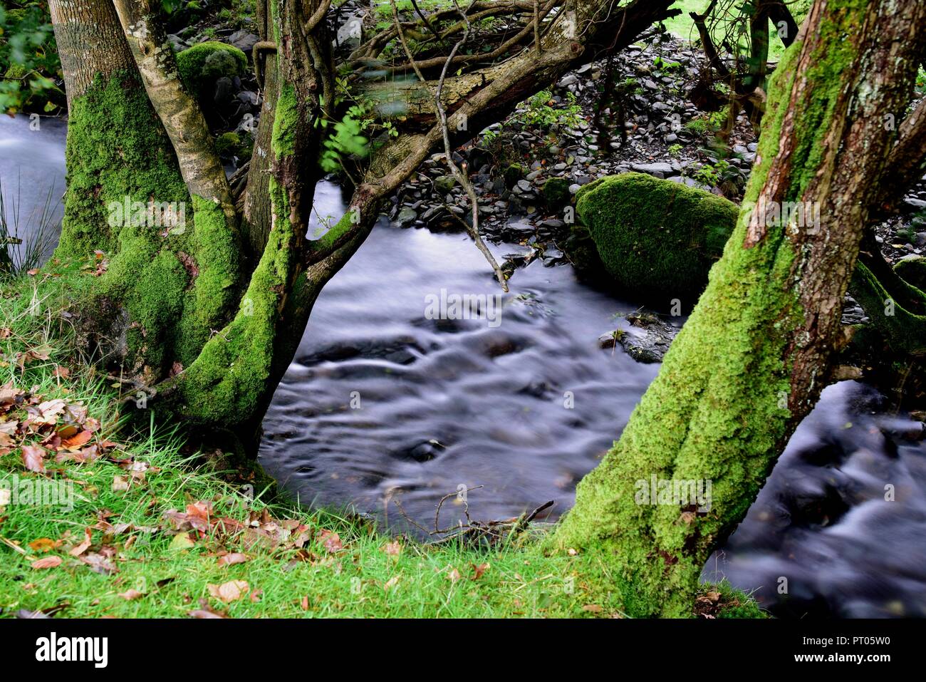Slow trickle of water hi-res stock photography and images - Alamy