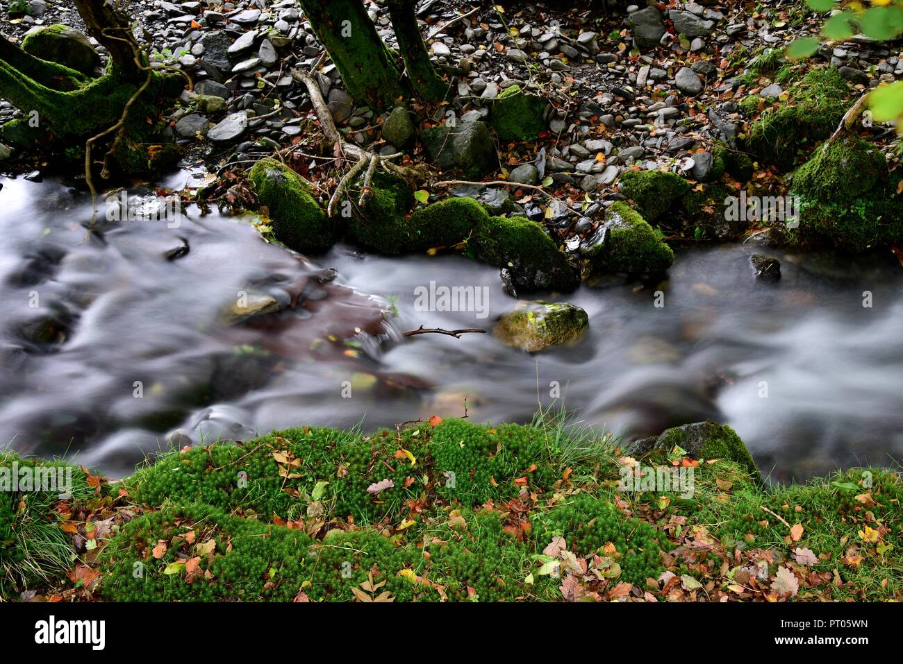 Slow trickle of water hi-res stock photography and images - Alamy