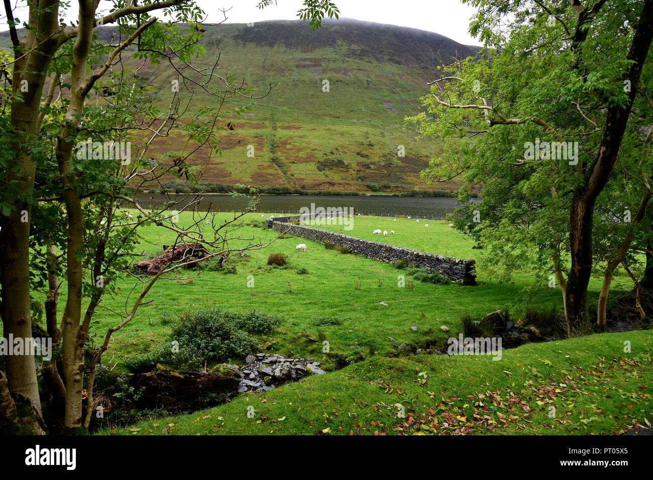 Slow trickle of water hi-res stock photography and images - Alamy
