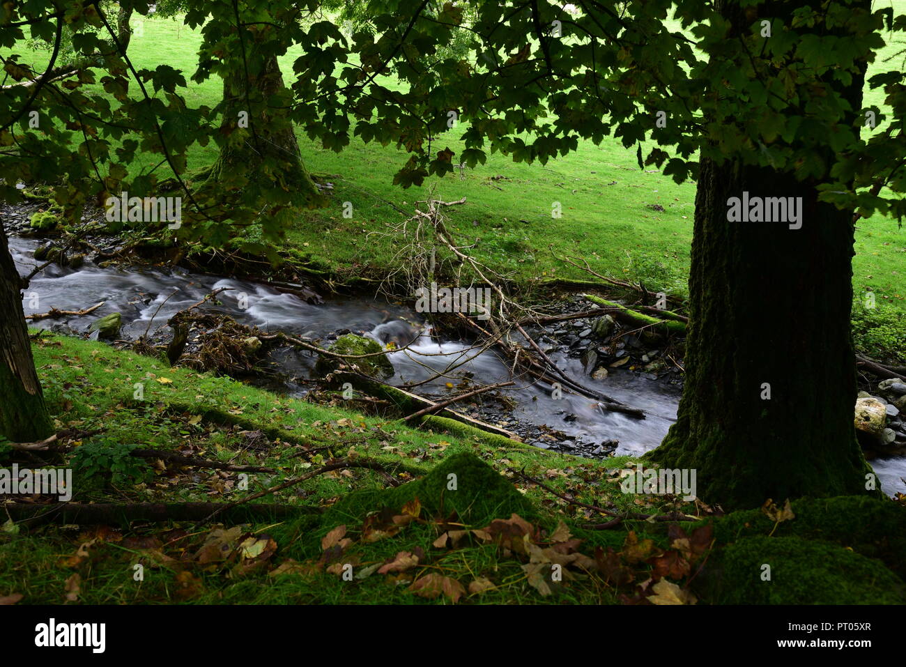 Slow trickle of water hi-res stock photography and images - Alamy