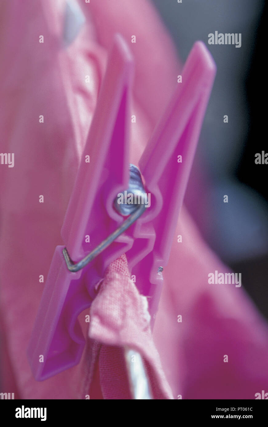 Peg Out The Washing at Randal Canada blog