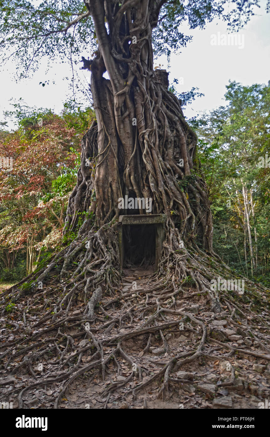 Sambor Prei Kuk Stock Photo - Alamy
