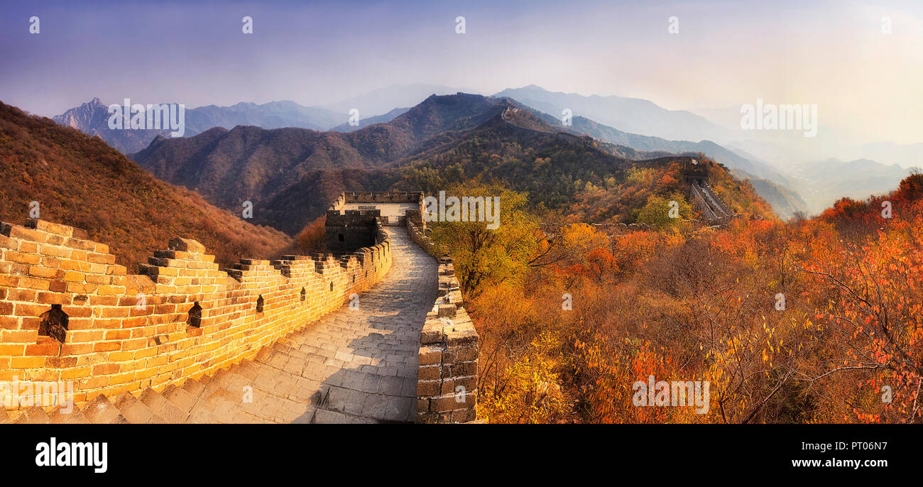 Narrow golden border hi-res stock photography and images - Alamy