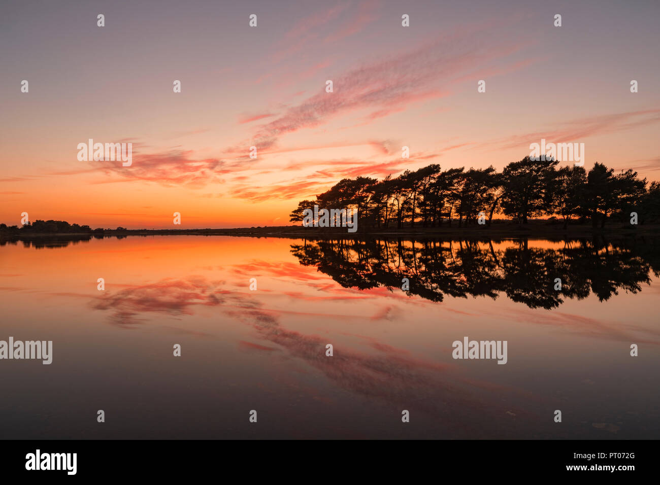 Hatchet Pond, New Forest National Park, Beaulieu, Hampshire, England ...