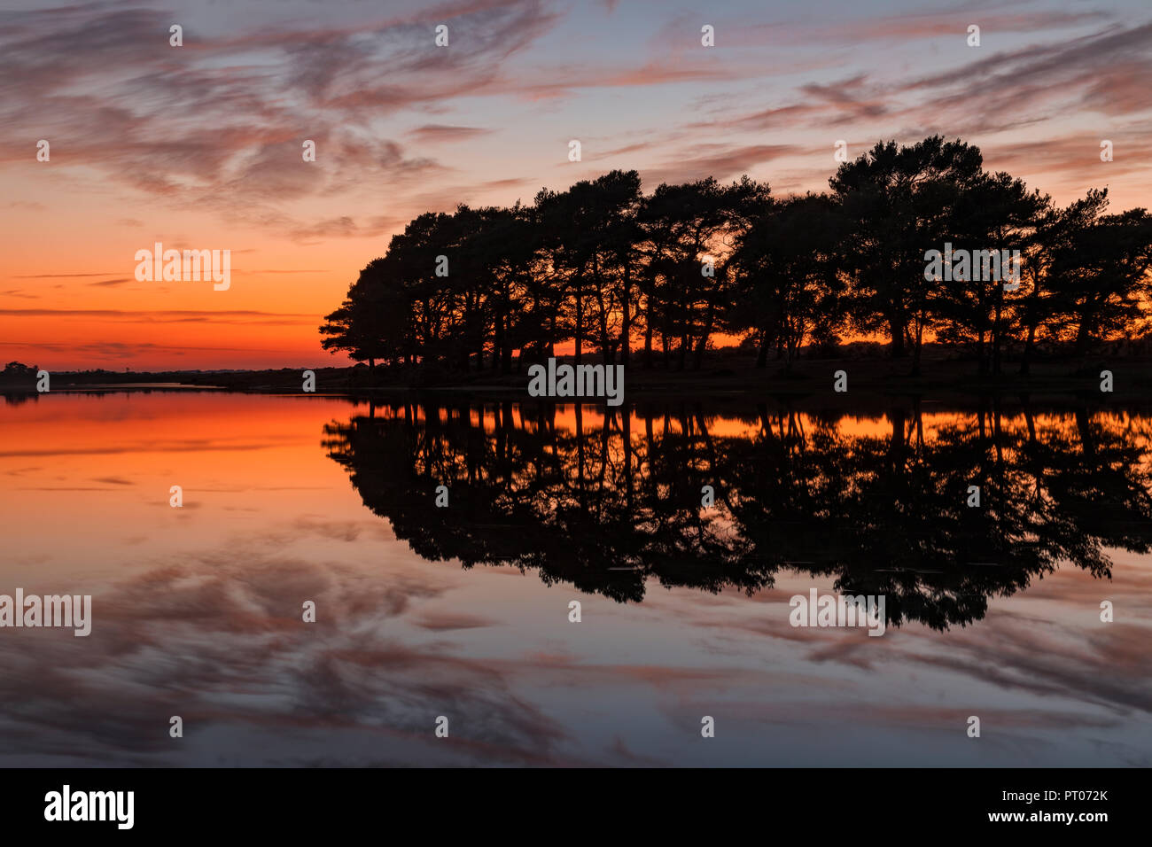 Hatchet Pond, New Forest National Park, Beaulieu, Hampshire, England ...
