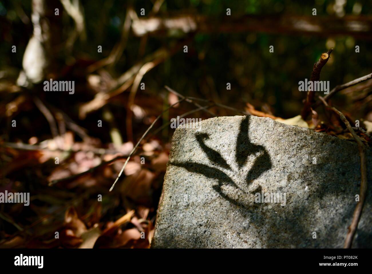 Shadow patterns on rock hi-res stock photography and images - Alamy