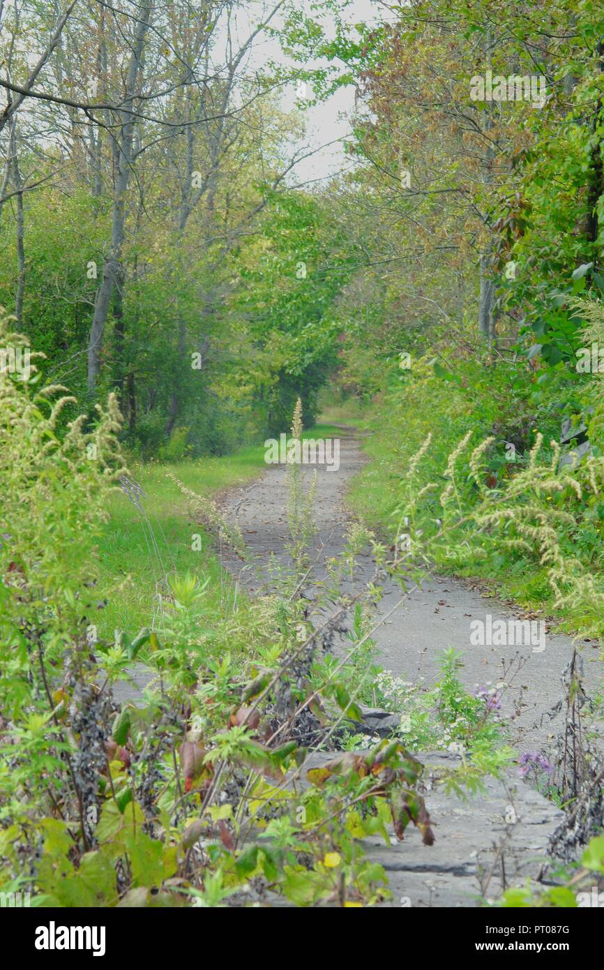 Path along a river on a sunny afternoon at the start of autumn with the ...