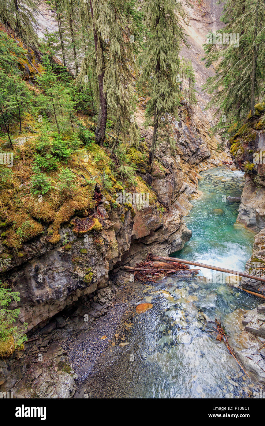 Johnston Canyon, Banff National Park, Alberta, Canada Stock Photo - Alamy