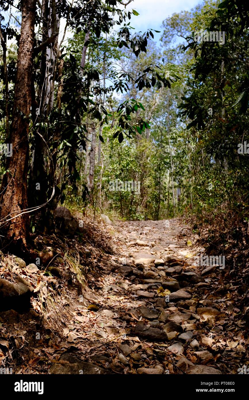 Australian Bush Stock Photos & Australian Bush Stock Images - Alamy