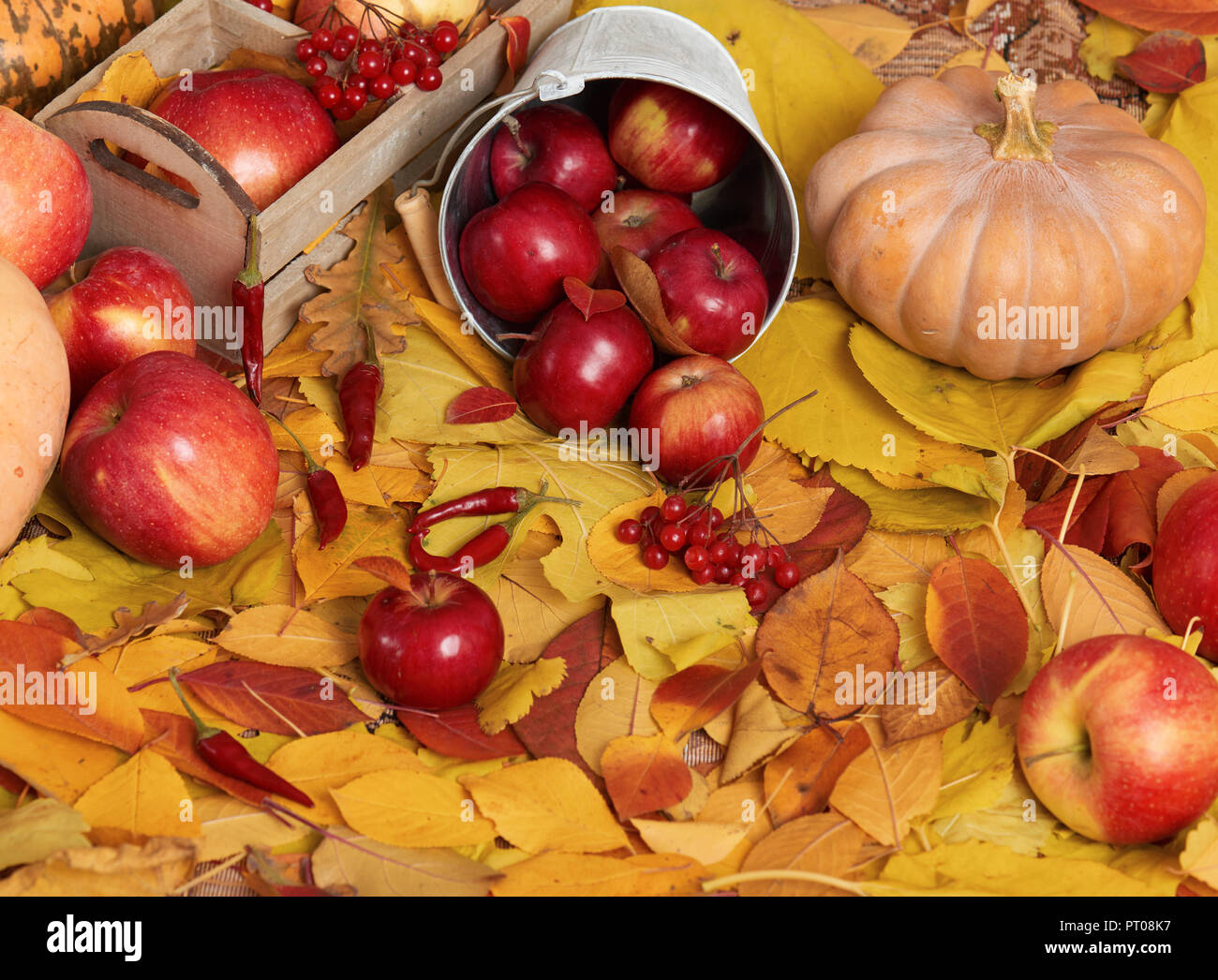 autumn harvest - fruits and vegetables are on fallen yellow leaves ...