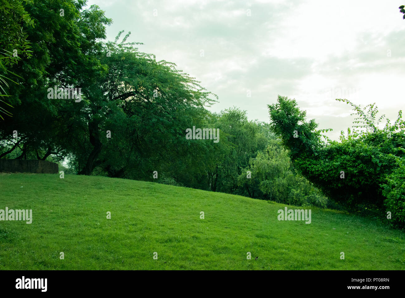 Cloudy greenery hi-res stock photography and images - Alamy