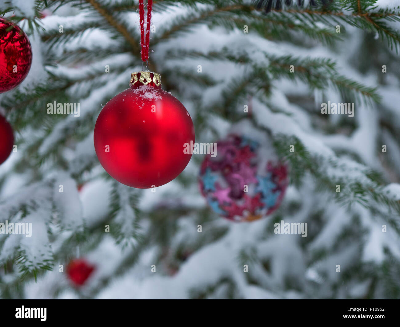 Christmas bulb hi-res stock photography and images - Alamy