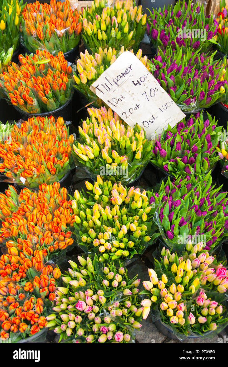 Large tulip display hi-res stock photography and images - Alamy