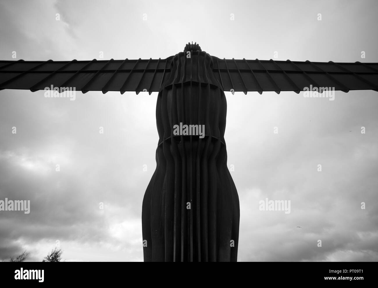 The Angel of the North statue in black and white. The iconic sculpture ...