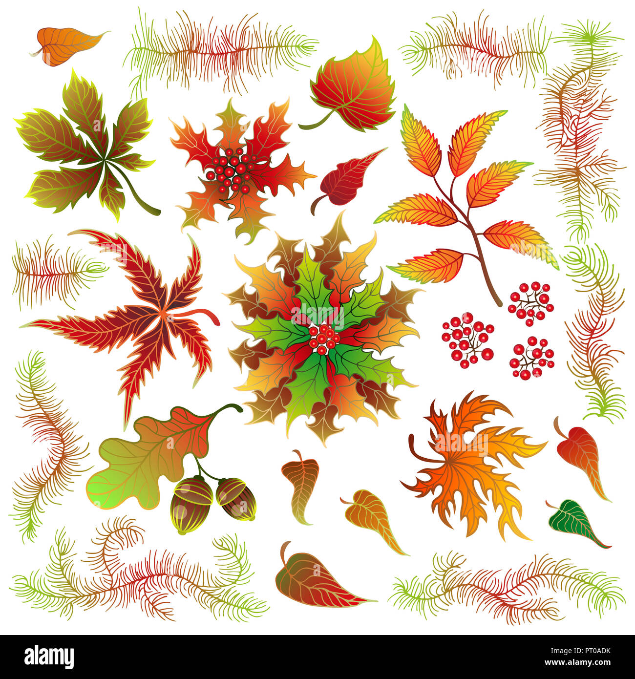 Autumn leaves set isolated on white background Stock Photo - Alamy