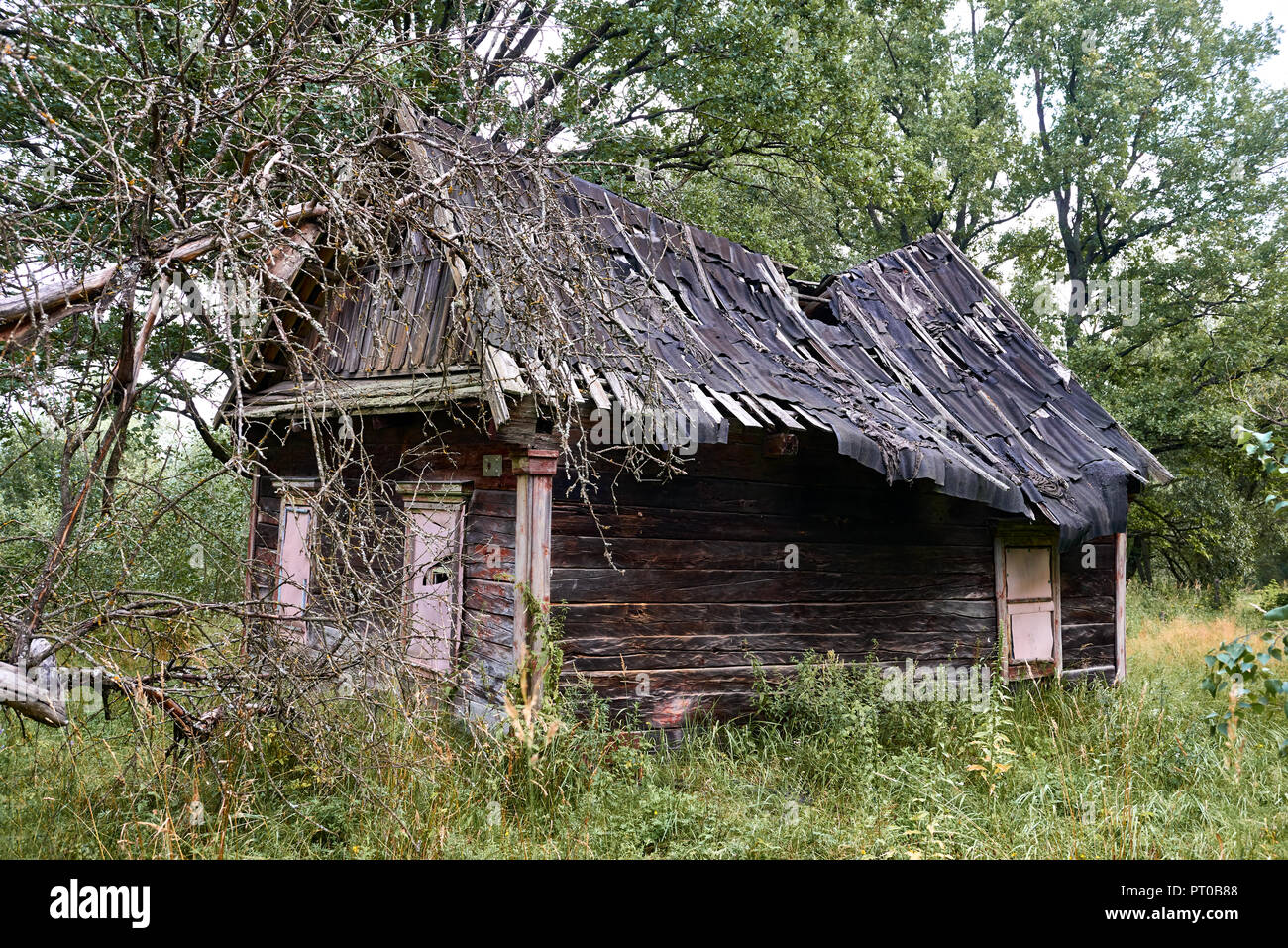 old wooden house in the forest Stock Photo - Alamy
