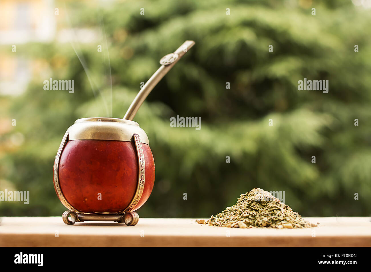 mate, mate grass (yerba mate) and steam with trees in the background ...