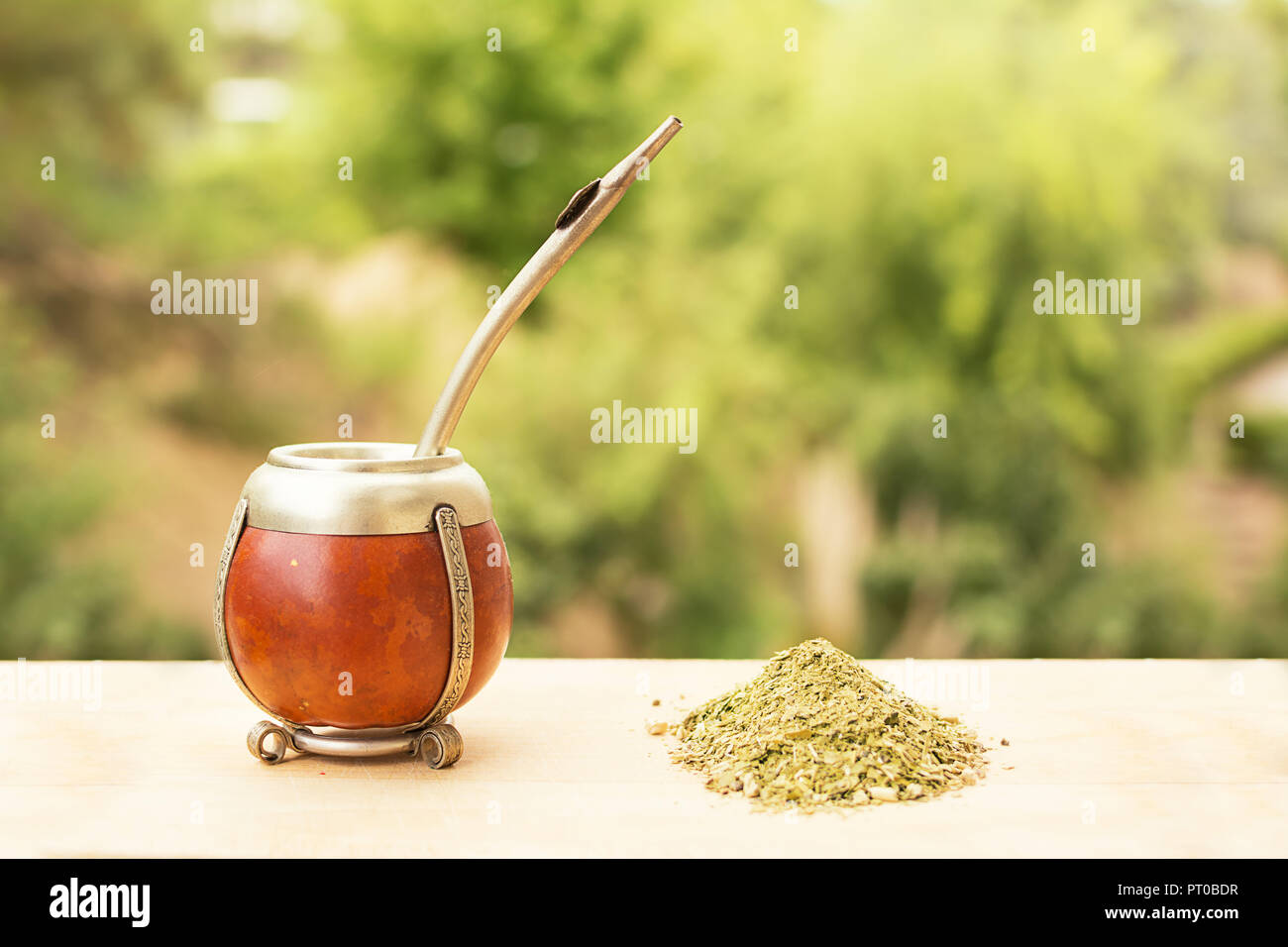 mate, mate grass (yerba mate) with trees in the background Stock Photo ...