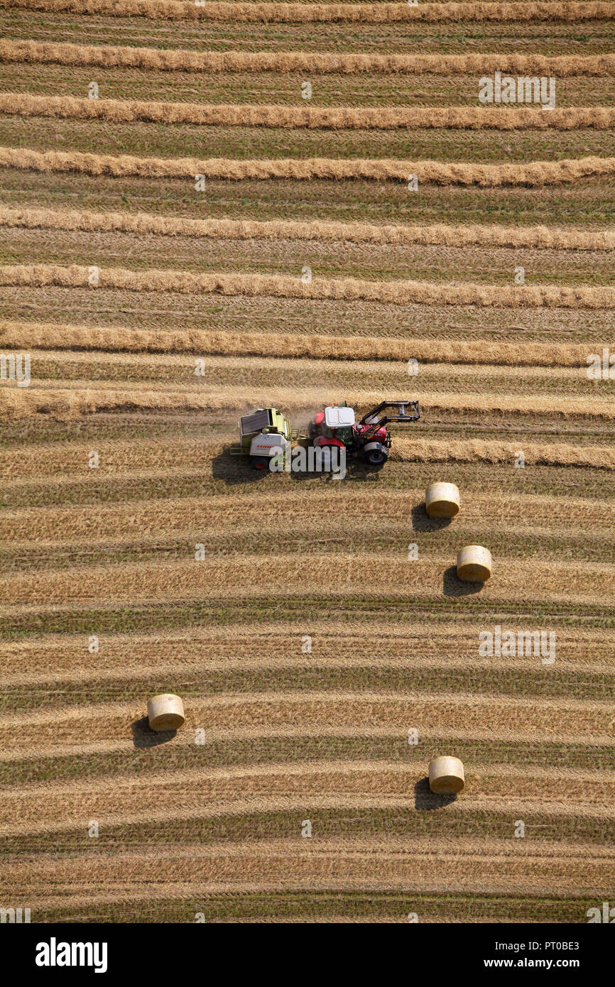 Aerial view, Obercastrop harvest Mittelfeld Langeloh, Silage rolls with ...