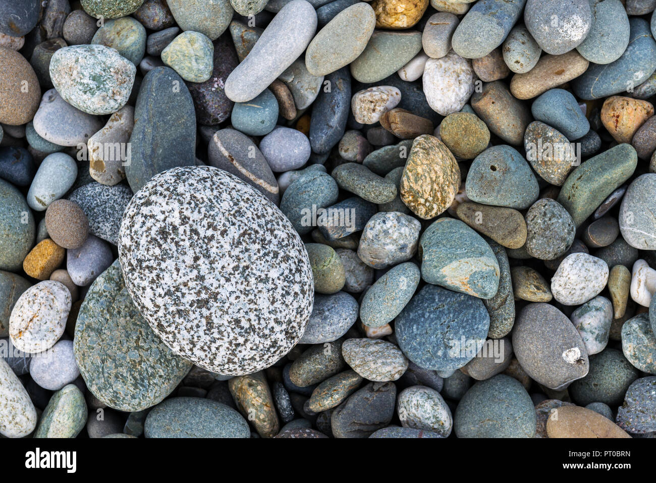 Background with different color sea stones. Stones on the beach Stock ...