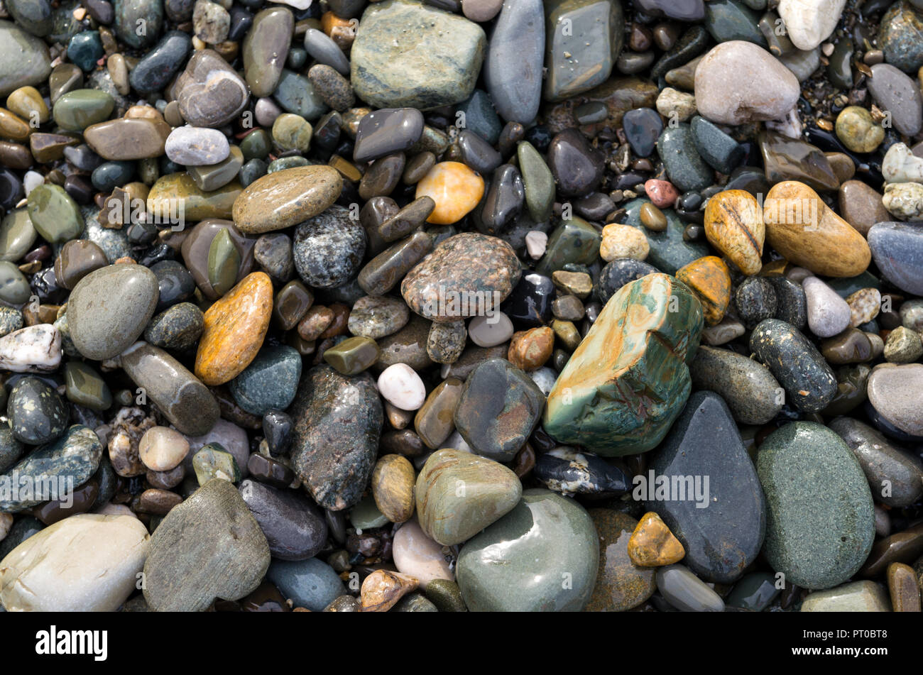 Background with different color sea stones. Stones on the beach Stock ...