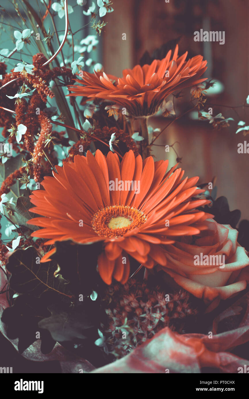 Style cross processing hi-res stock photography and images - Alamy