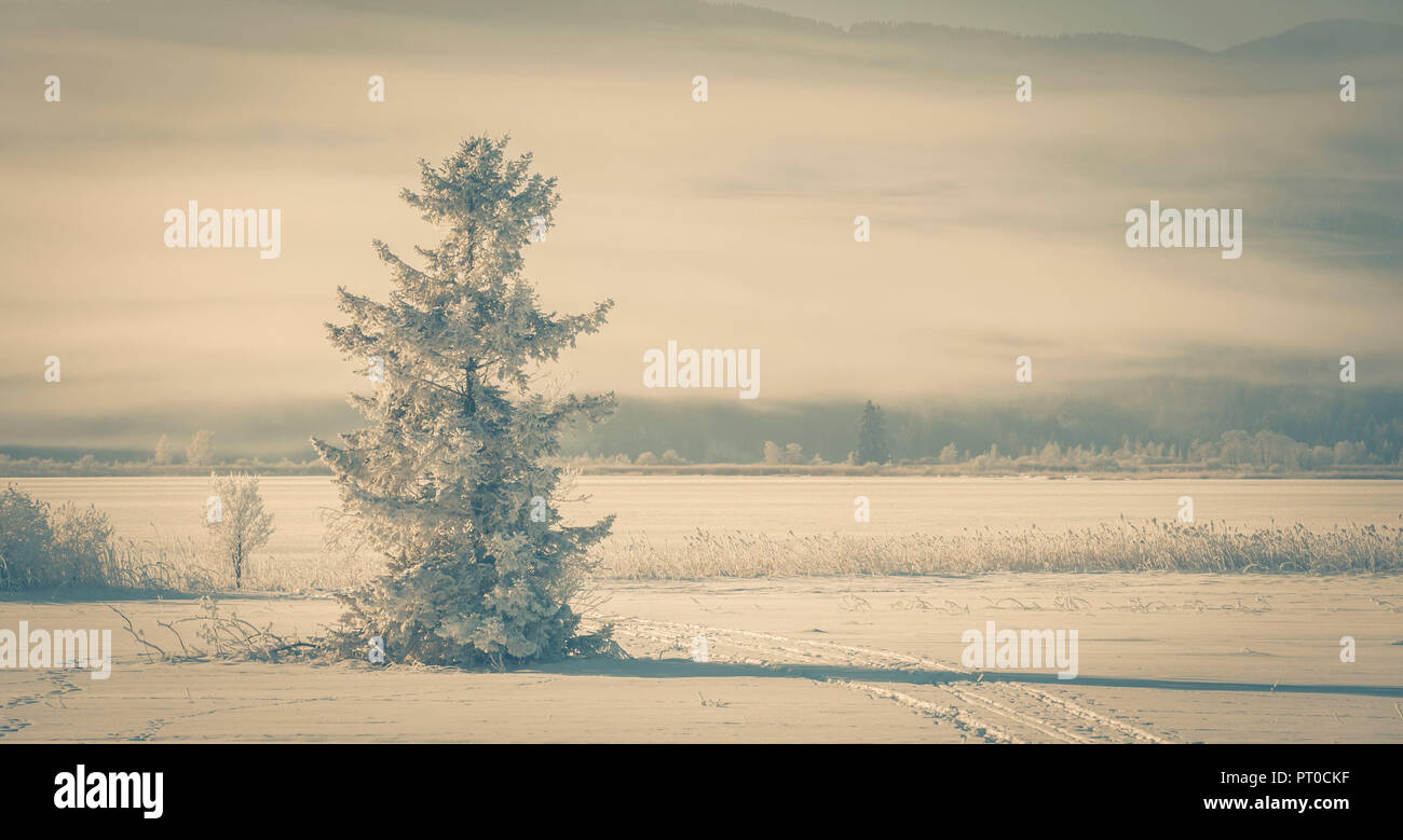The winter, with ice, snow and wonderful sight Stock Photo - Alamy