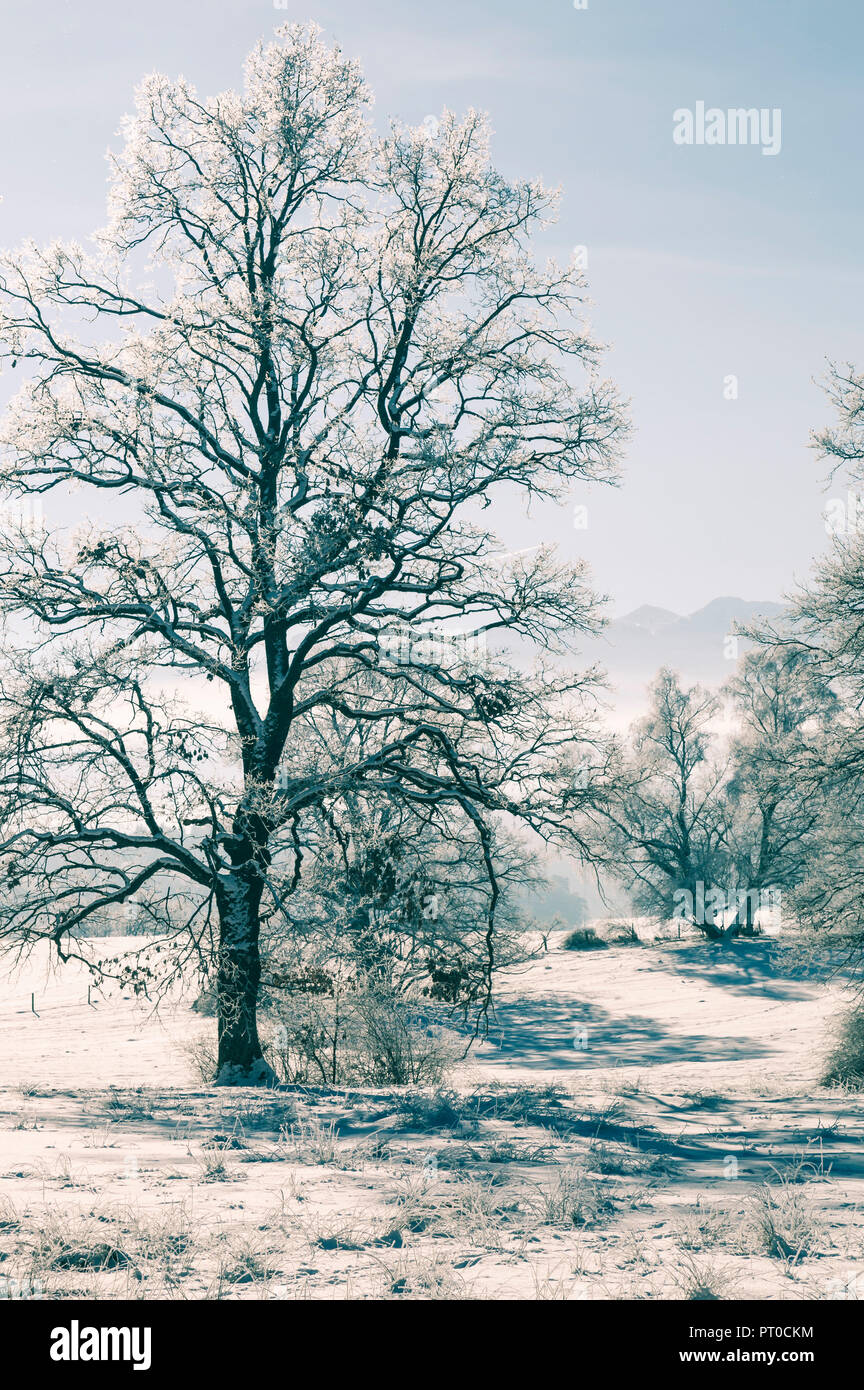 Coldness hi-res stock photography and images - Alamy