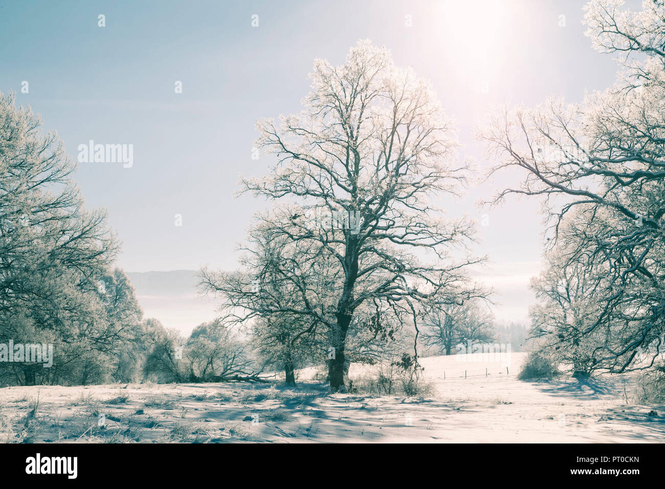 Coldness hi-res stock photography and images - Alamy