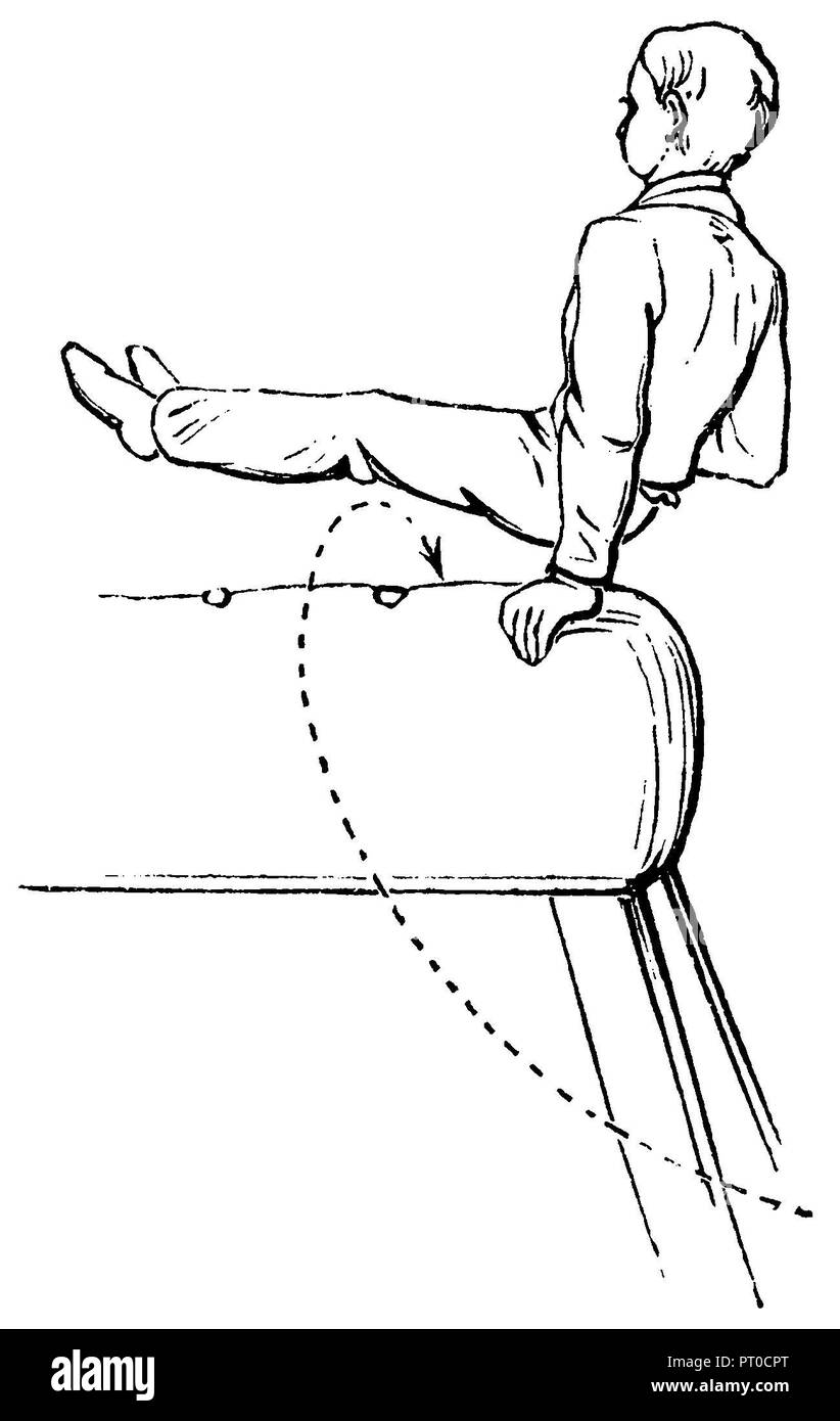 Gymnastics, exercises: horse jumping. Behind jumps. Turn right, 1890 ...