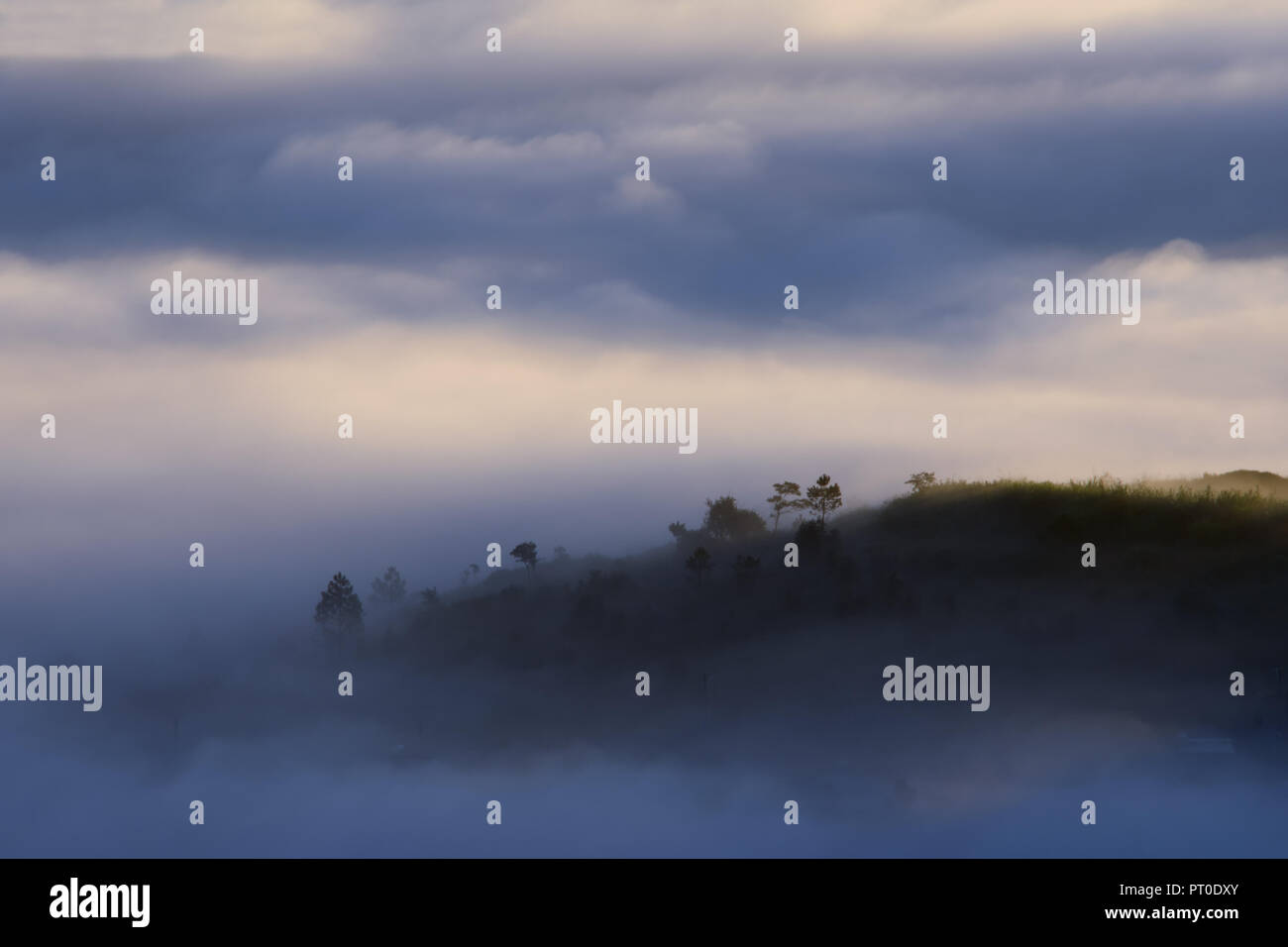The fog cover Dalat plateau lands, Vietnam, background with magic of ...