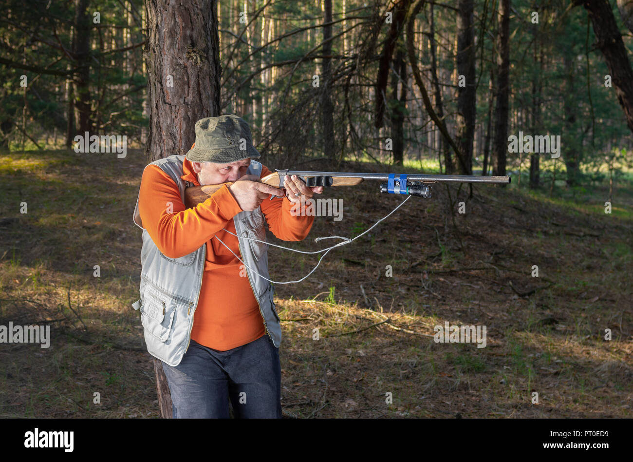 Senior hunter aim rifle in forest leaning on a pine tree Stock Photo ...