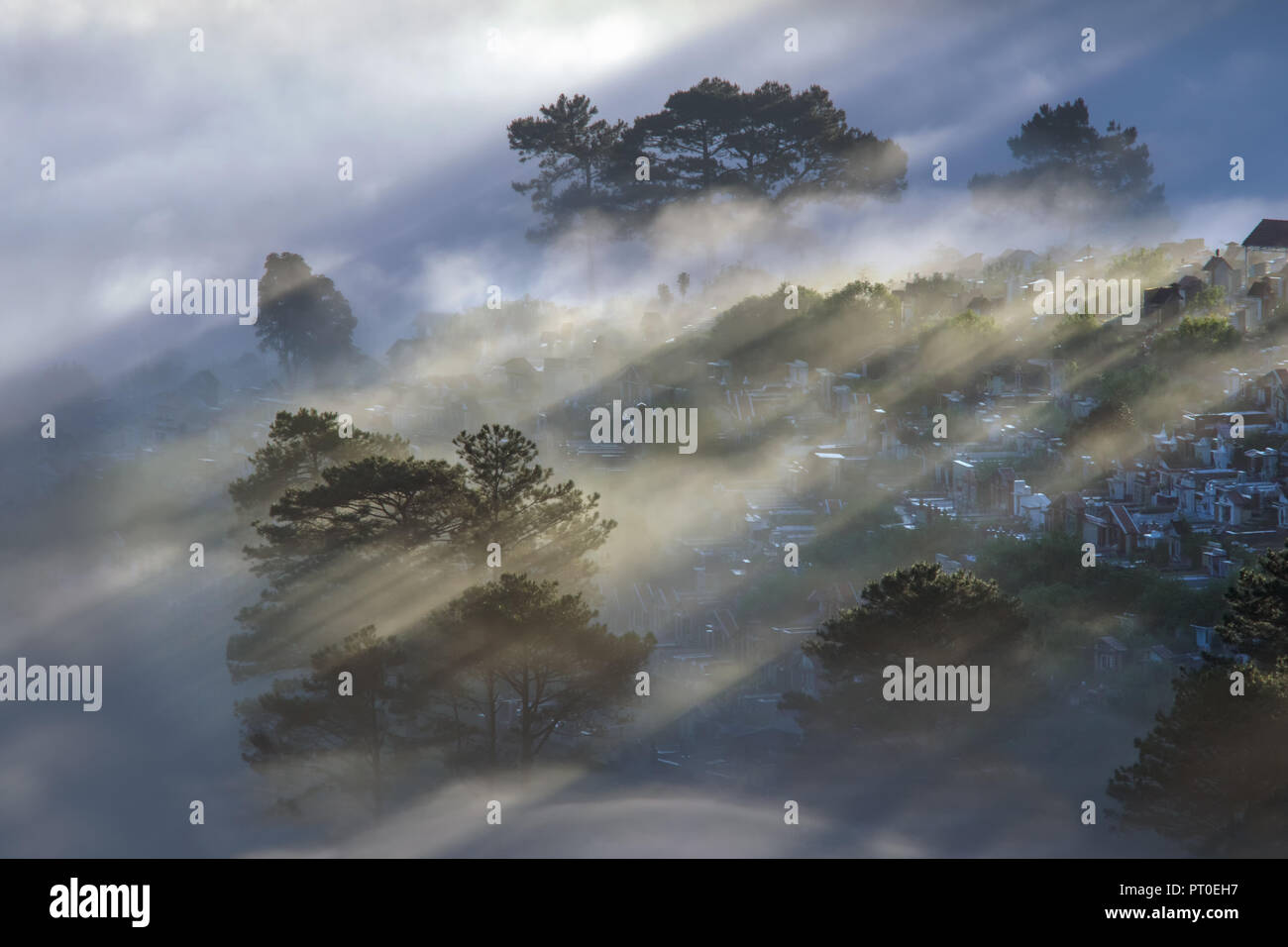 The fog cover Dalat plateau lands, Vietnam, background with magic of ...