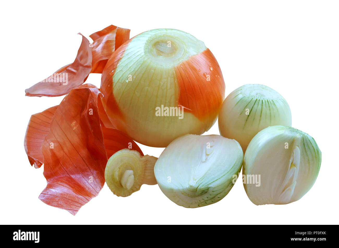 Napiform root hi-res stock photography and images - Alamy