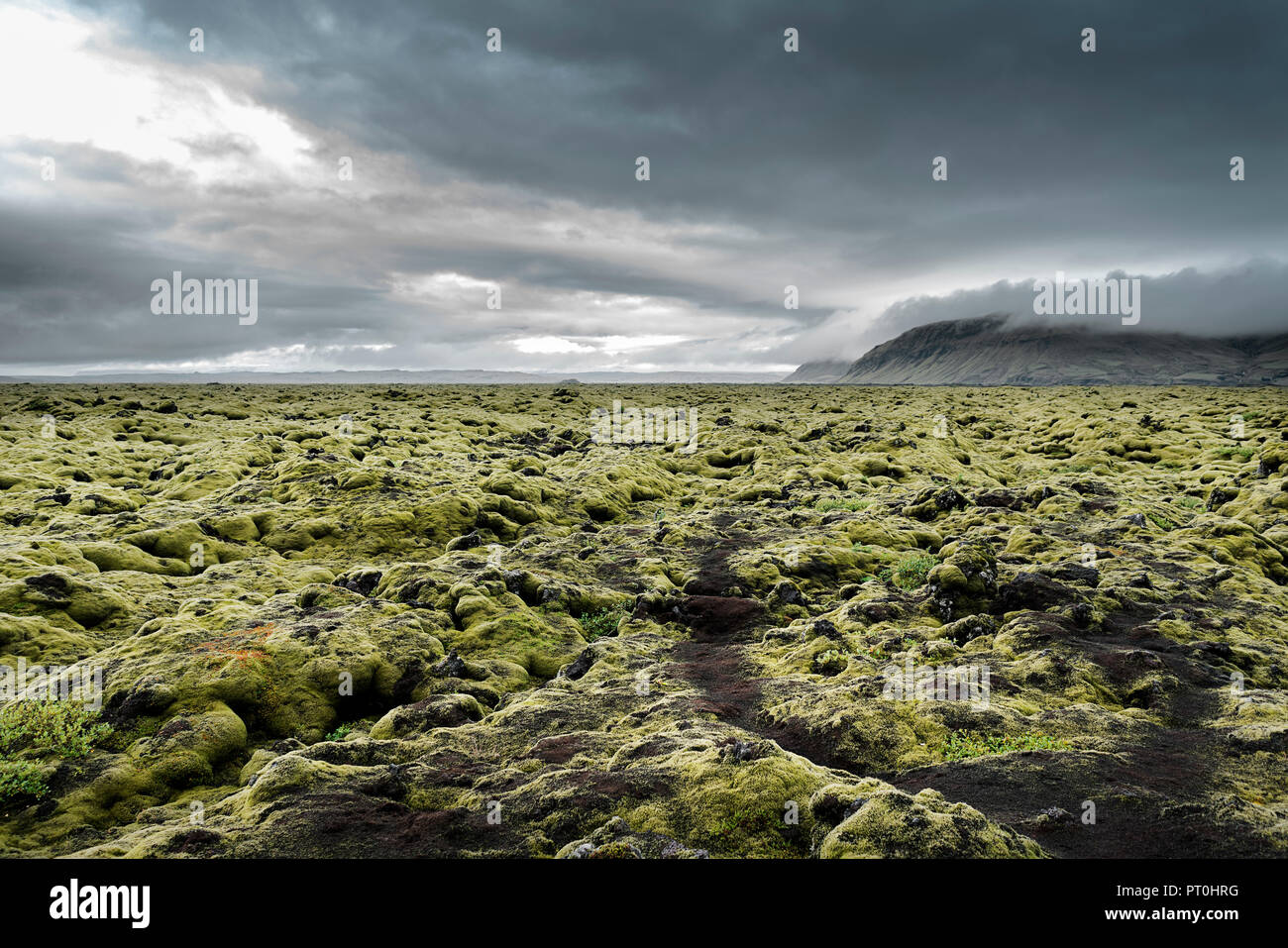 Moss lava field iceland hi-res stock photography and images - Alamy