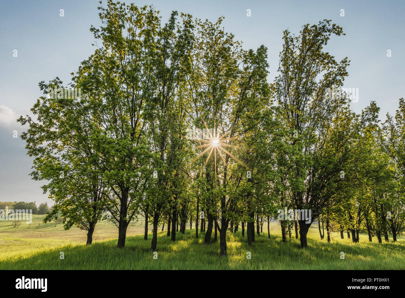 Sunbeam magic beam hi-res stock photography and images - Alamy